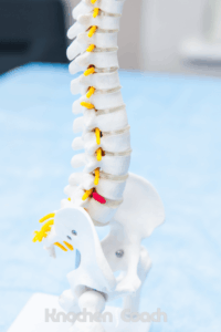 Osteopenie erkennen - Stille Vorstufe der Osteoporose