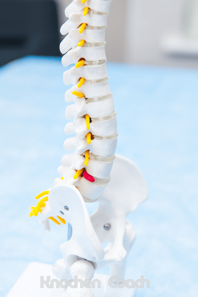 Osteopenie erkennen - Stille Vorstufe der Osteoporose
